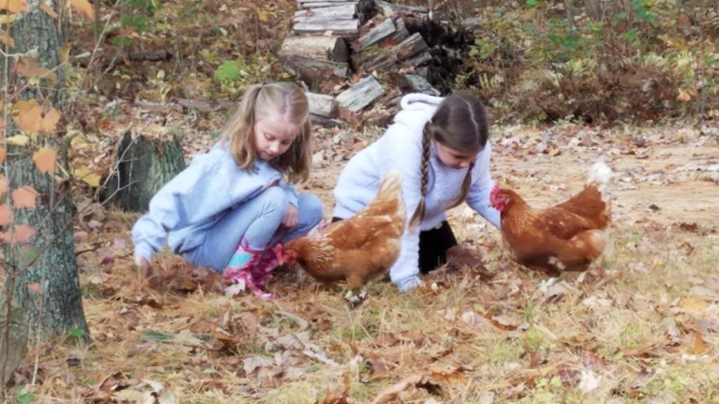 On the Farm - Strong Family Farm