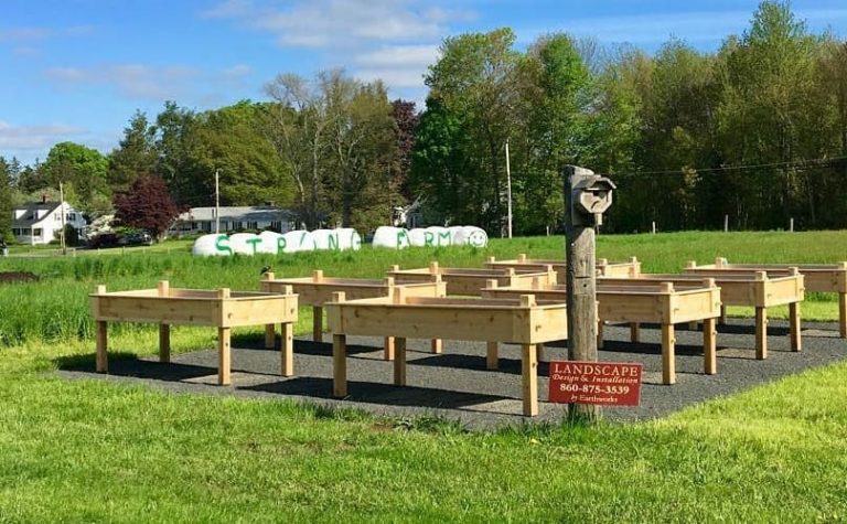 Home - Strong Family Farm