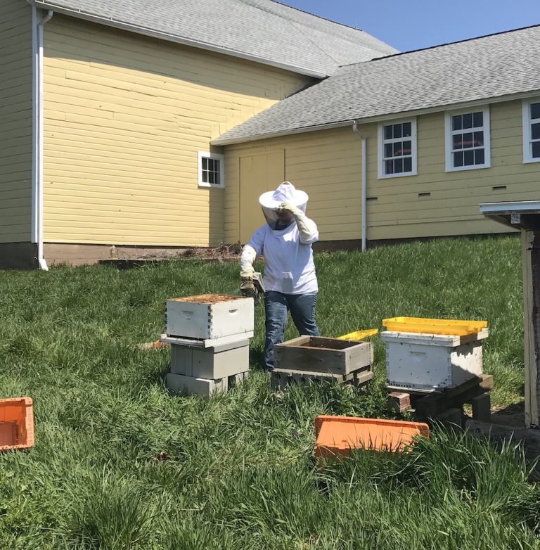 Bees and Beekeeping - Strong Family Farm