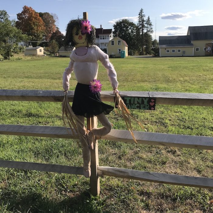 Annual Scarecrow Contest - Strong Family Farm