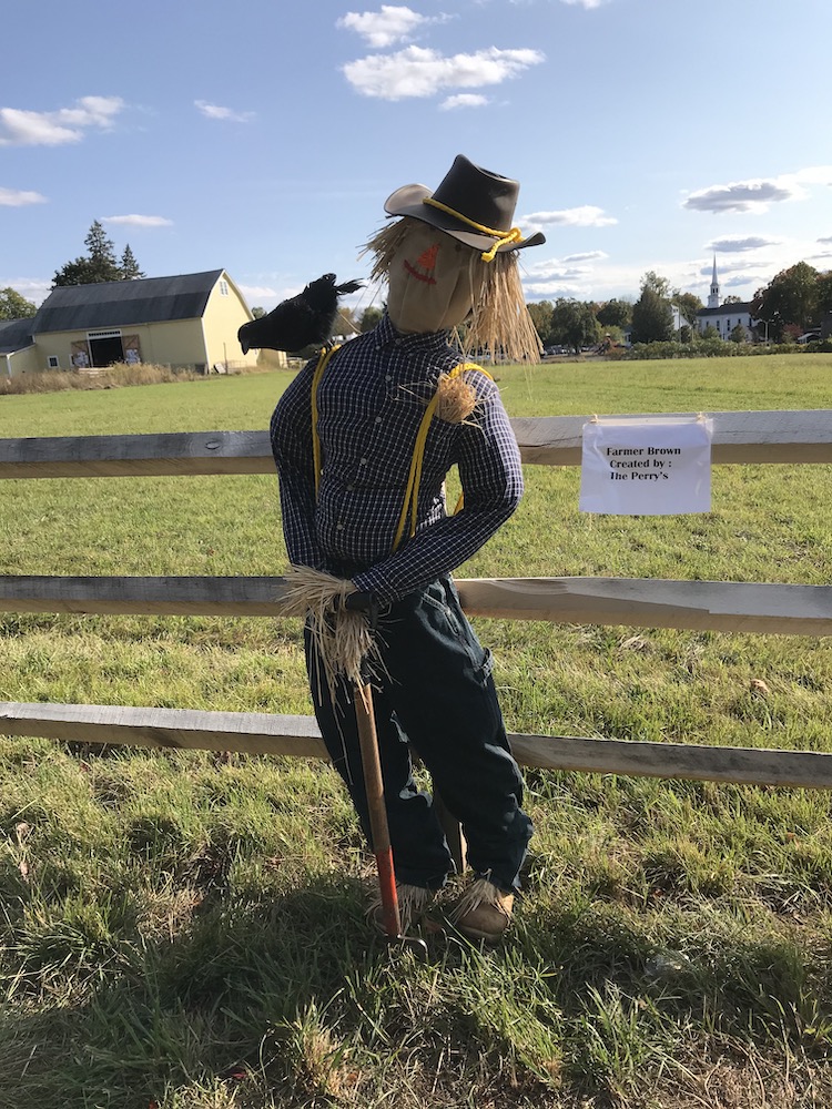 Home - Strong Family Farm