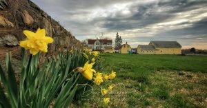 Strong Family Farm – Preserving Family Farm History