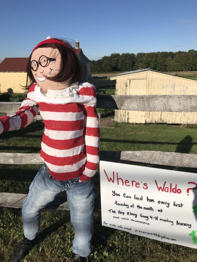 Annual Scarecrow Contest - Strong Family Farm