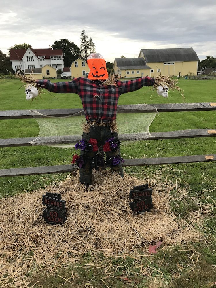Annual Scarecrow Contest - Strong Family Farm
