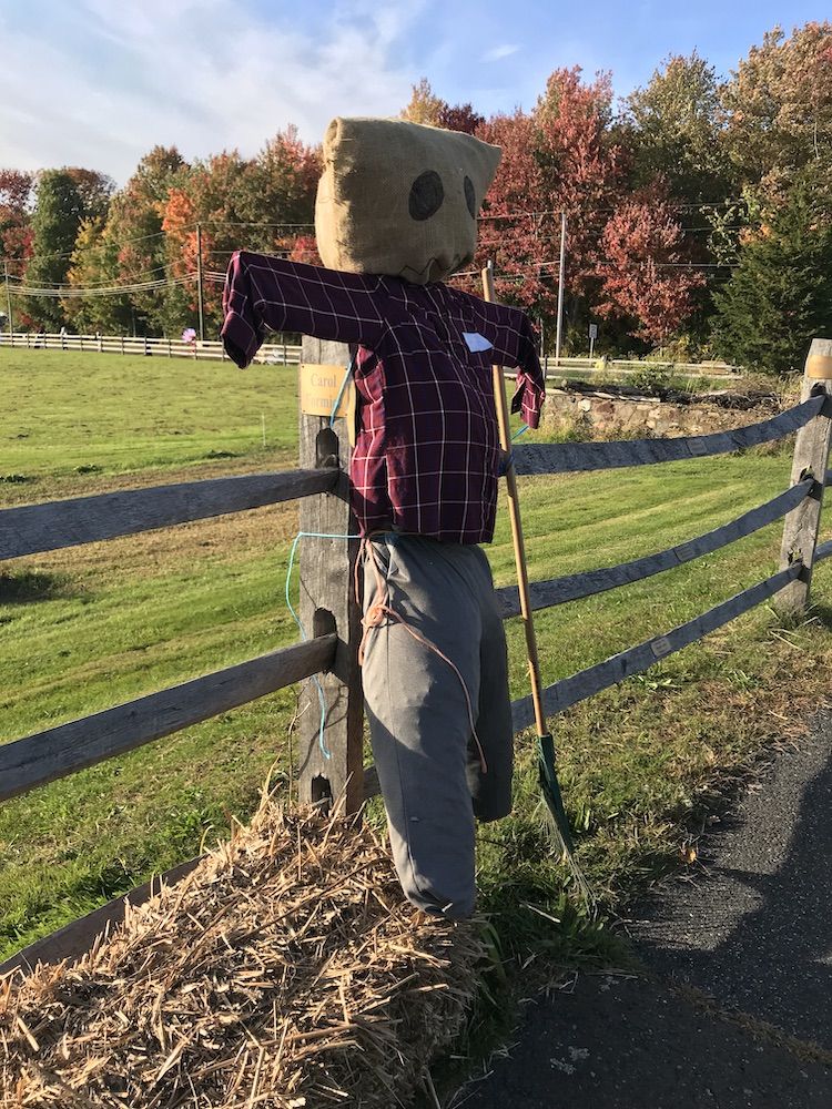 Annual Scarecrow Contest - Strong Family Farm